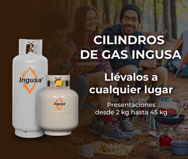 Ingusa Tienda En Linea Ingusa Shop